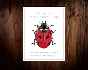 Ladybug Unit Study Bundle Nature Study Homeschool Learning - Etsy