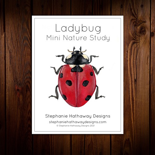 Ladybug Mini Nature Study - Etsy