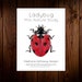 Ladybug Mini Nature Study - Etsy