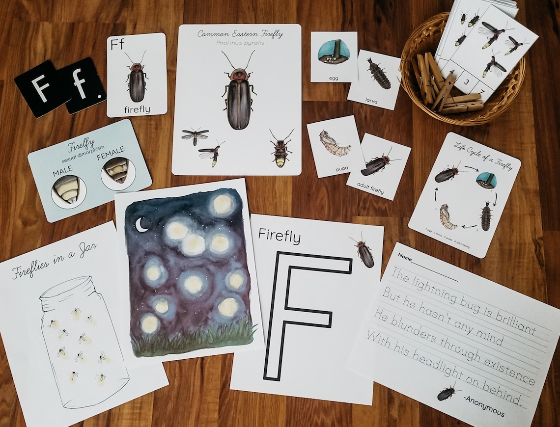 Firefly Unit Study Bundle - Etsy