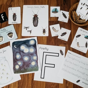 Firefly Unit Study Bundle - Etsy