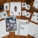 Firefly Unit Study Bundle - Etsy