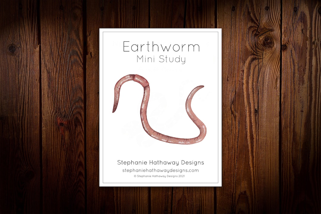 Earthworm Mini Study - Etsy