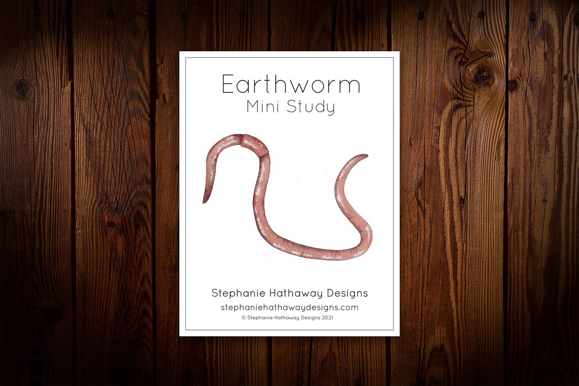 Earthworm Mini Study - Etsy