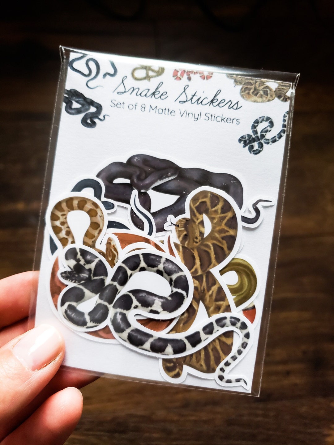 Snake Sticker Pack Set of 8 - Etsy