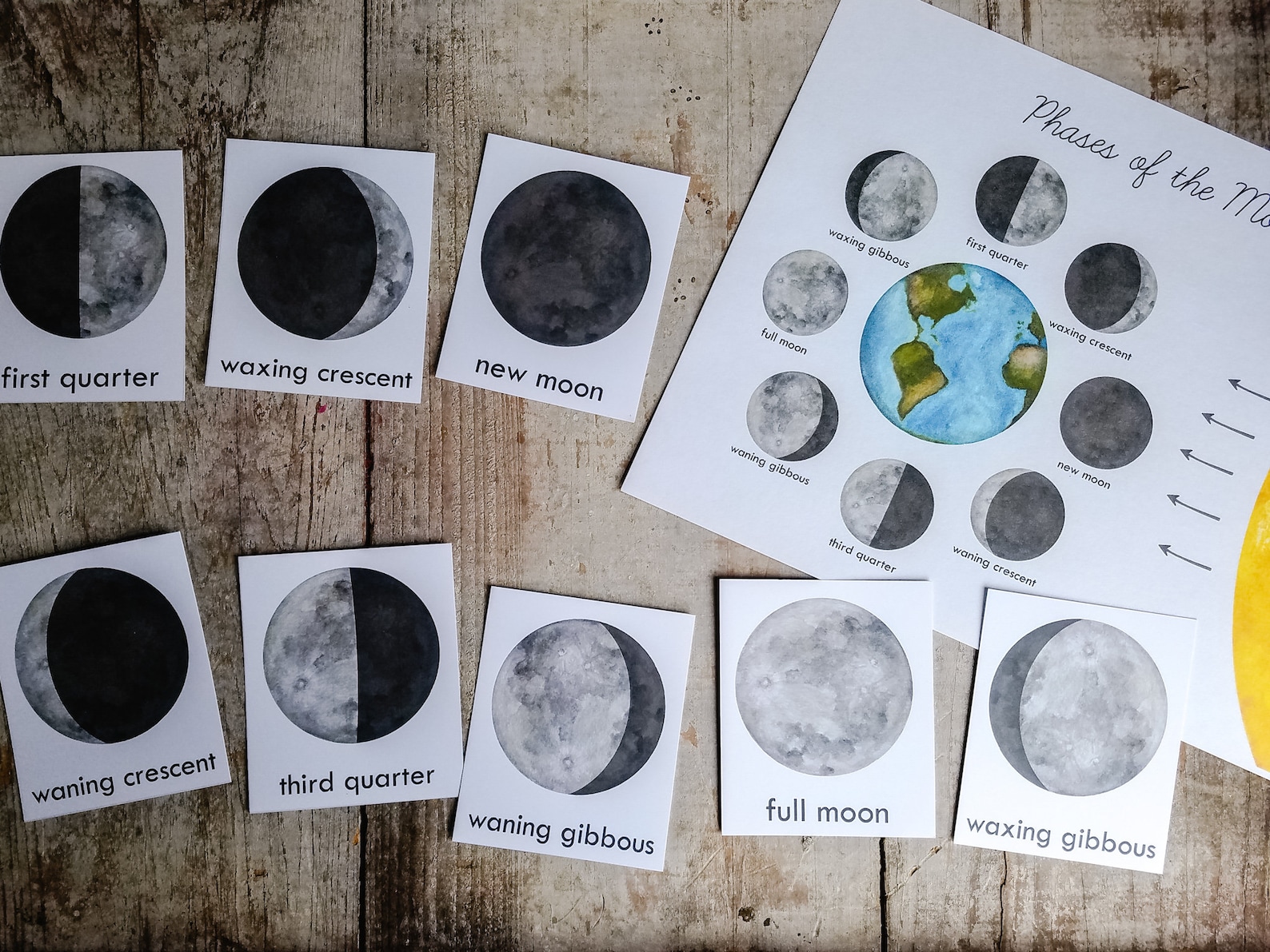 Moon Phases Study - Etsy