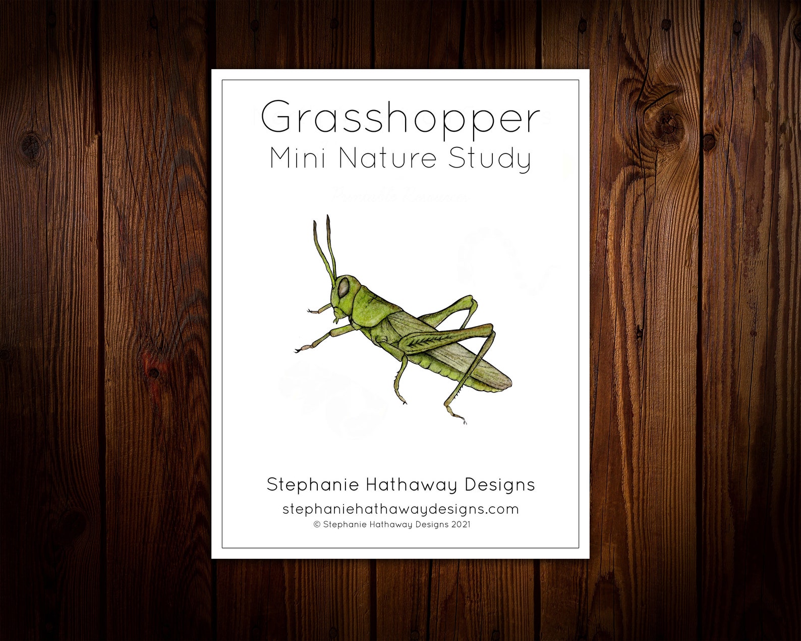Grasshopper Mini Nature Study - Etsy