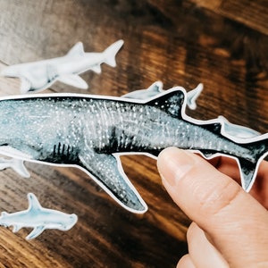 Shark Sticker Pack - Etsy