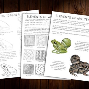 Amphibian Unit Study - Etsy