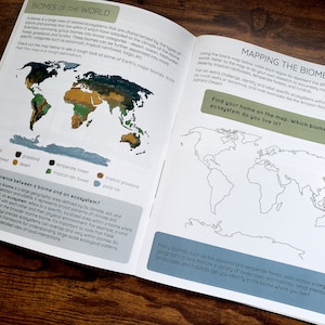 Backyard Ecology: A Printed Educational Guide Filled With Information ...