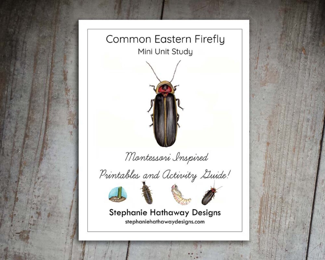 Firefly Unit Study Bundle - Etsy