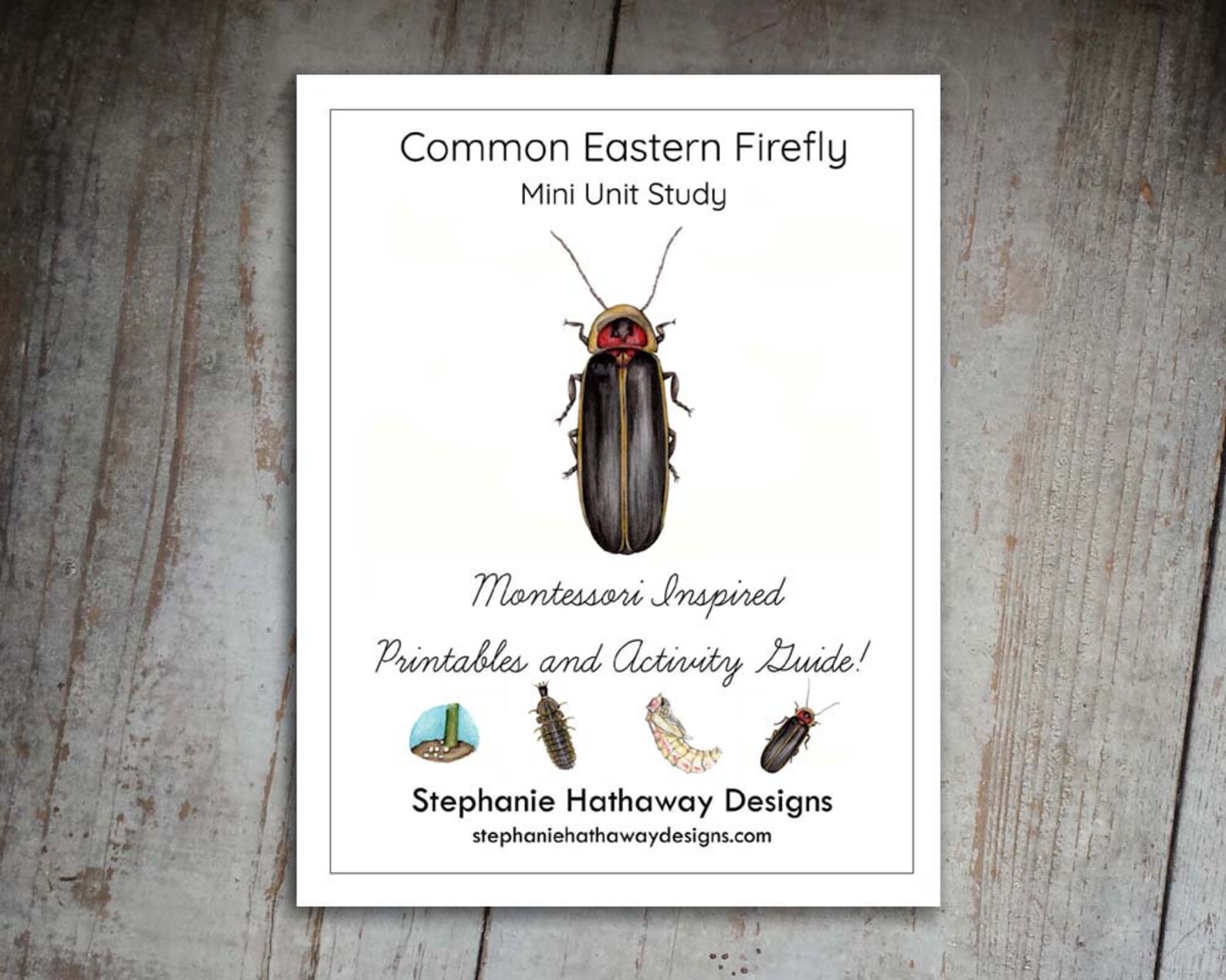 Firefly Unit Study Bundle - Etsy