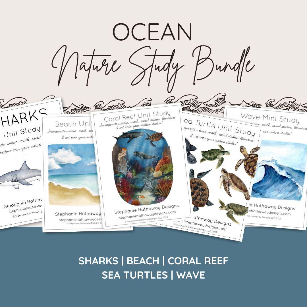 Ocean Bundle - Etsy