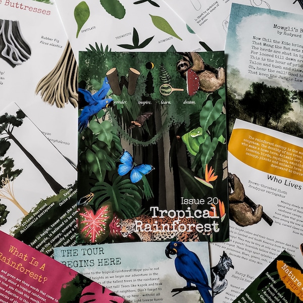 Tropical Rainforest - Etsy