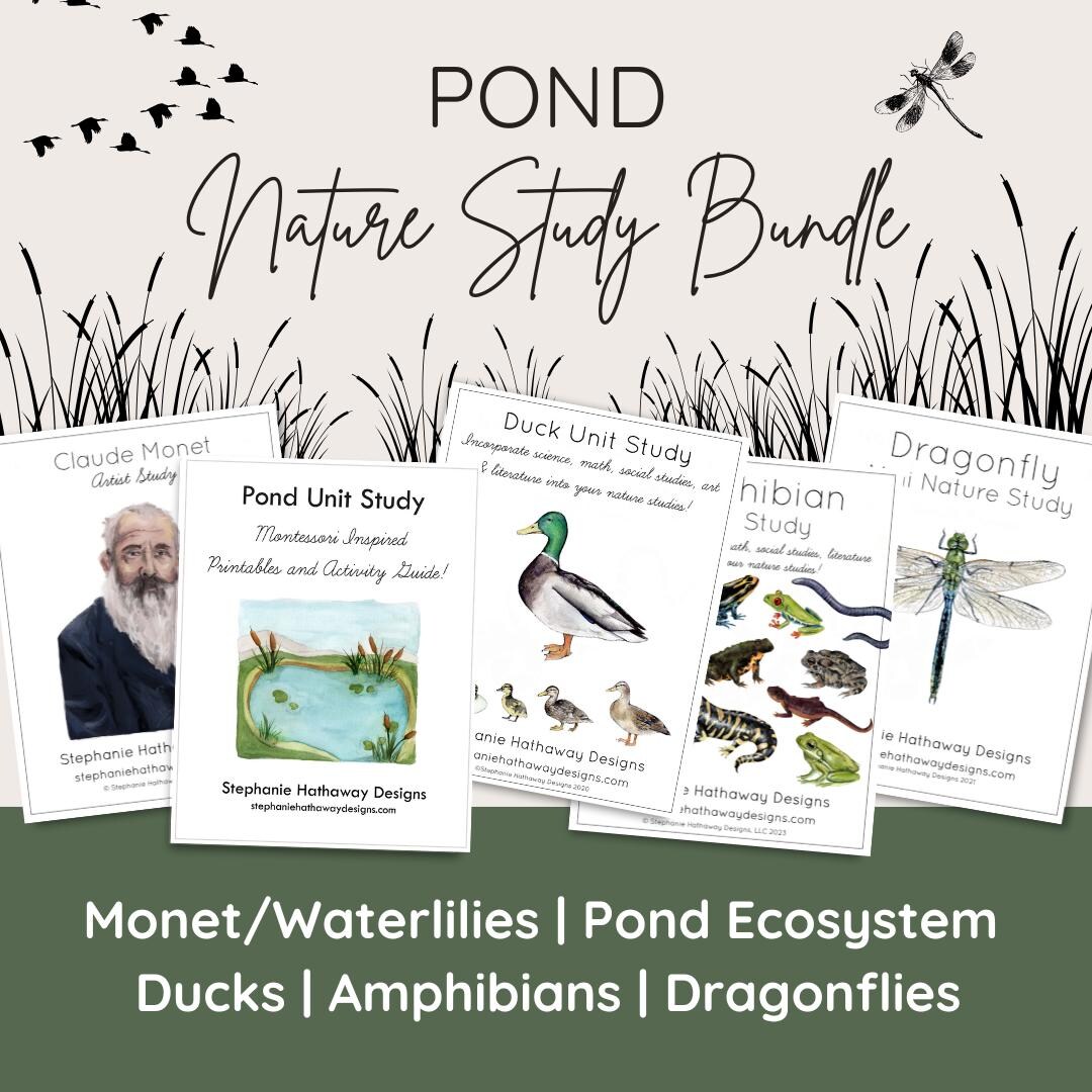 The Pond Bundle - Etsy