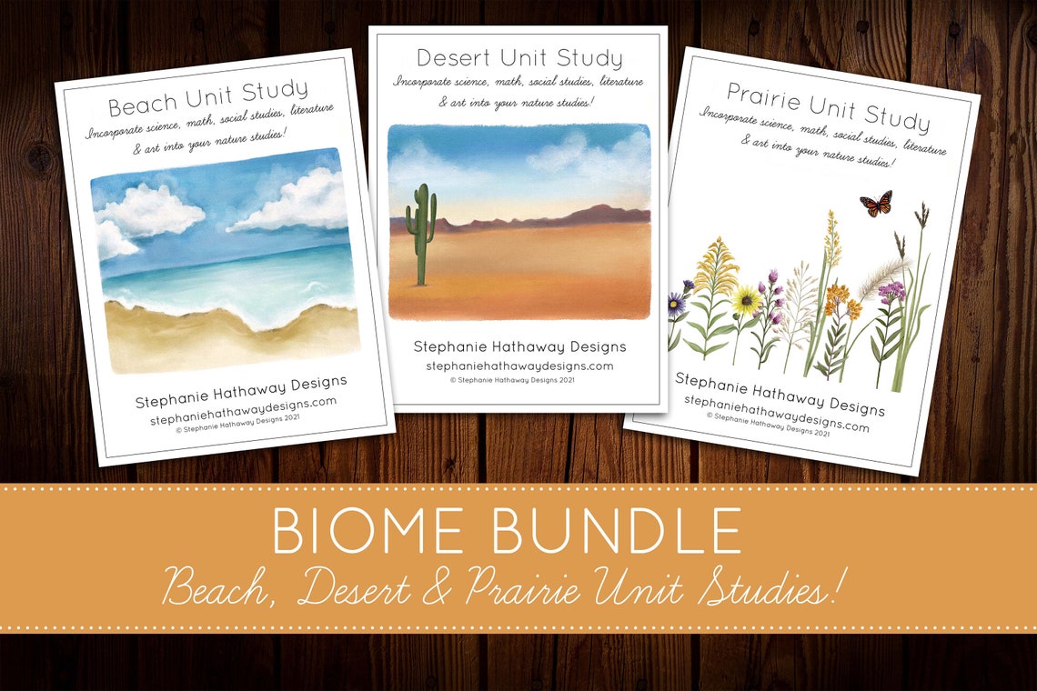 Biome Bundle - Etsy