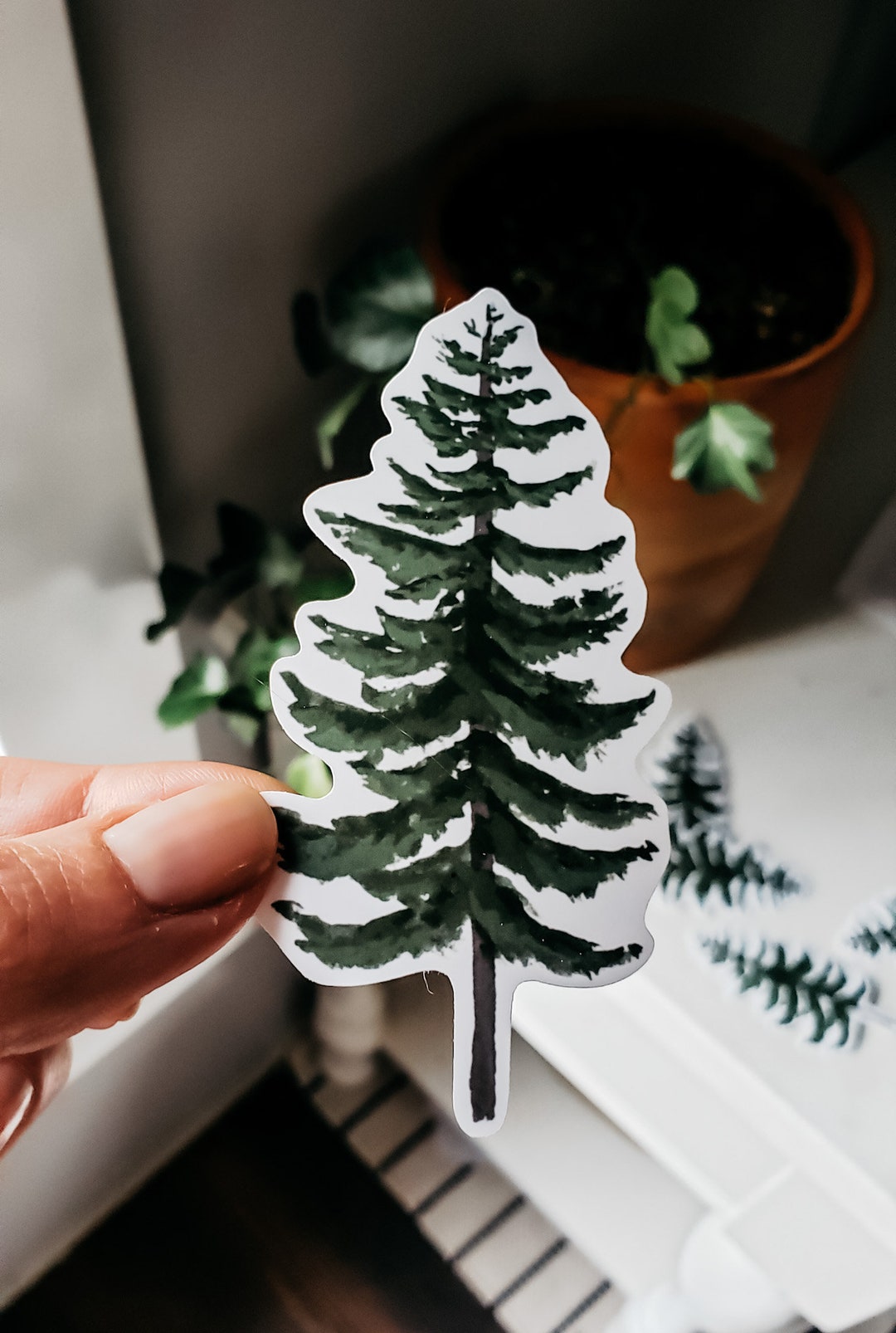 Evergreen Tree Sticker - Etsy
