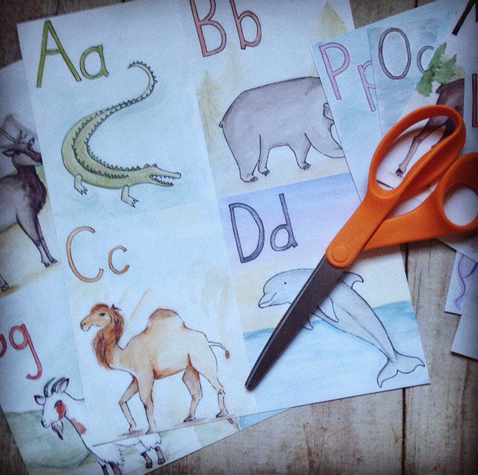 ABC Animal Alphabet Printable Flash Cards Digital Download | Etsy