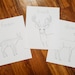 White-tailed Deer Unit Study Bundle - Etsy