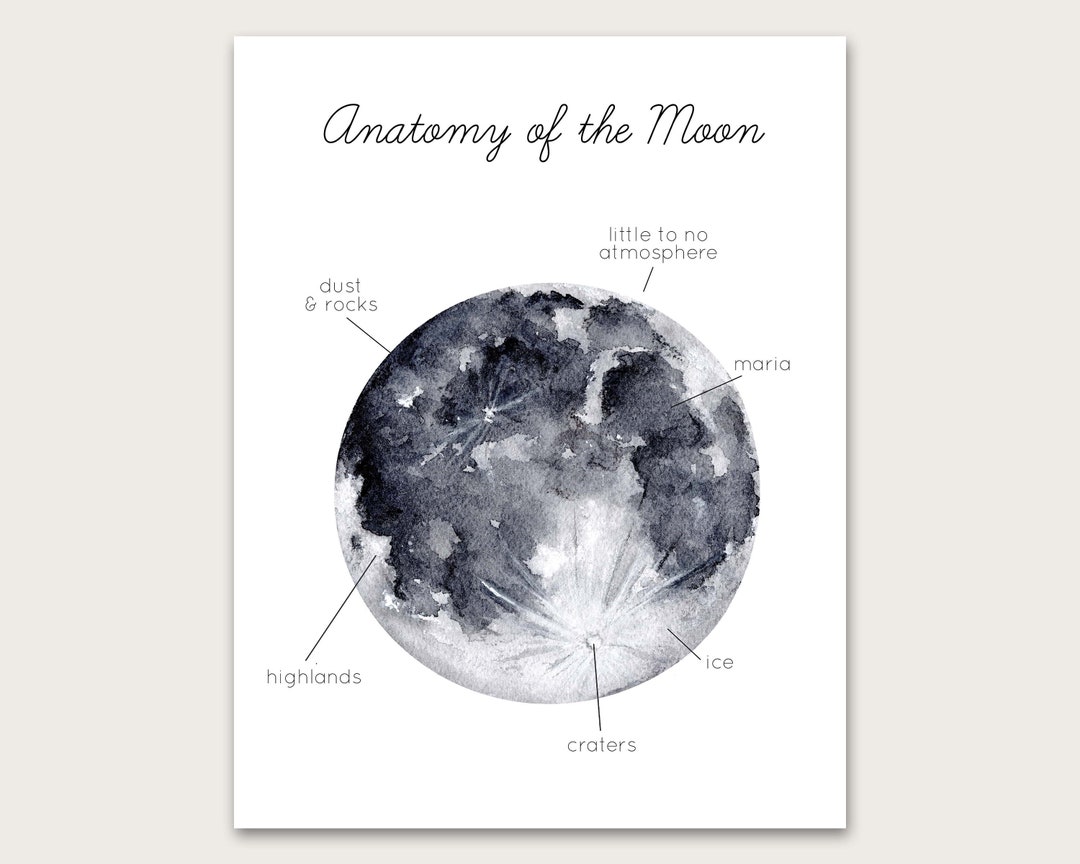 Anatomy of the Moon - Etsy