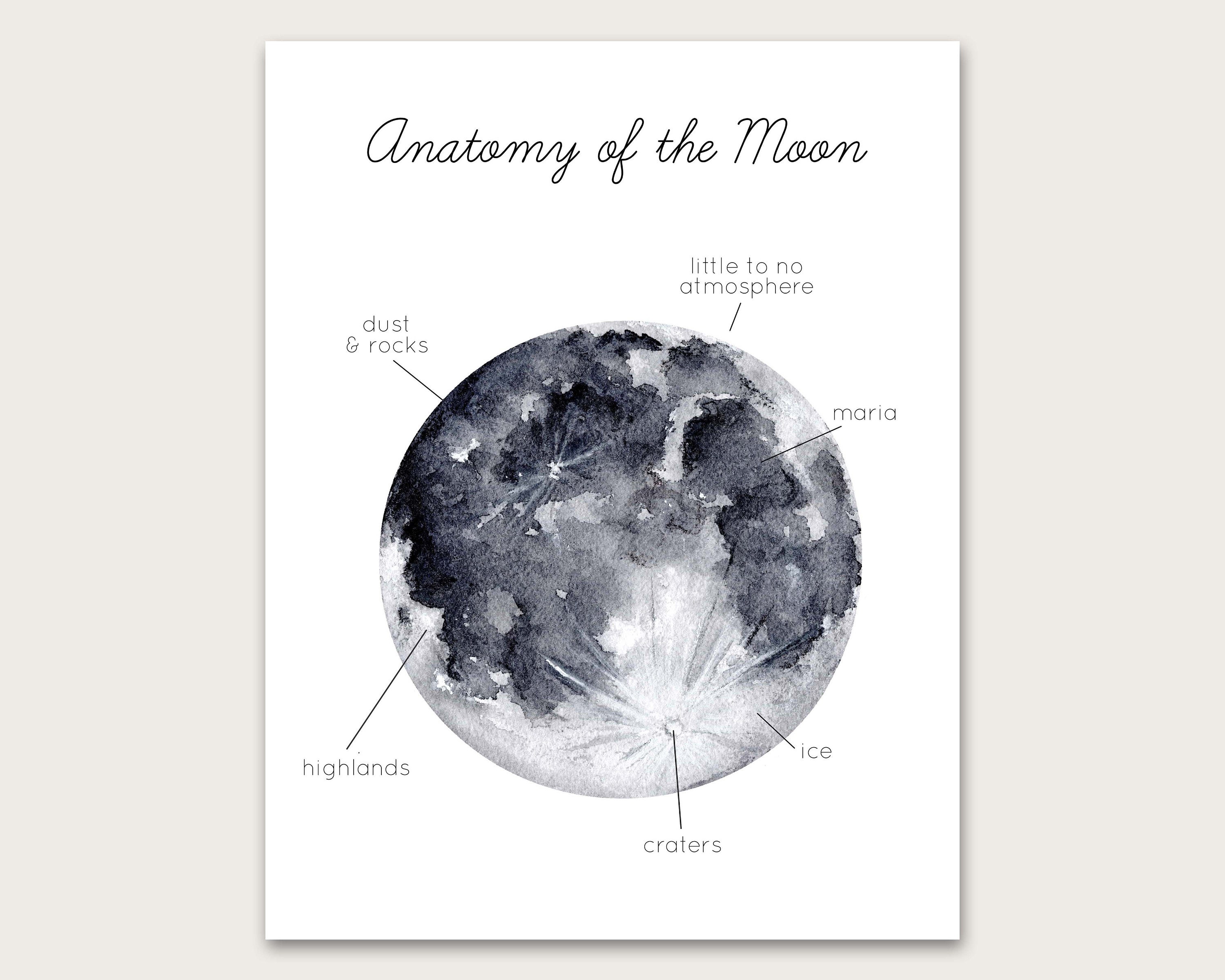 Anatomy of the Moon | Etsy