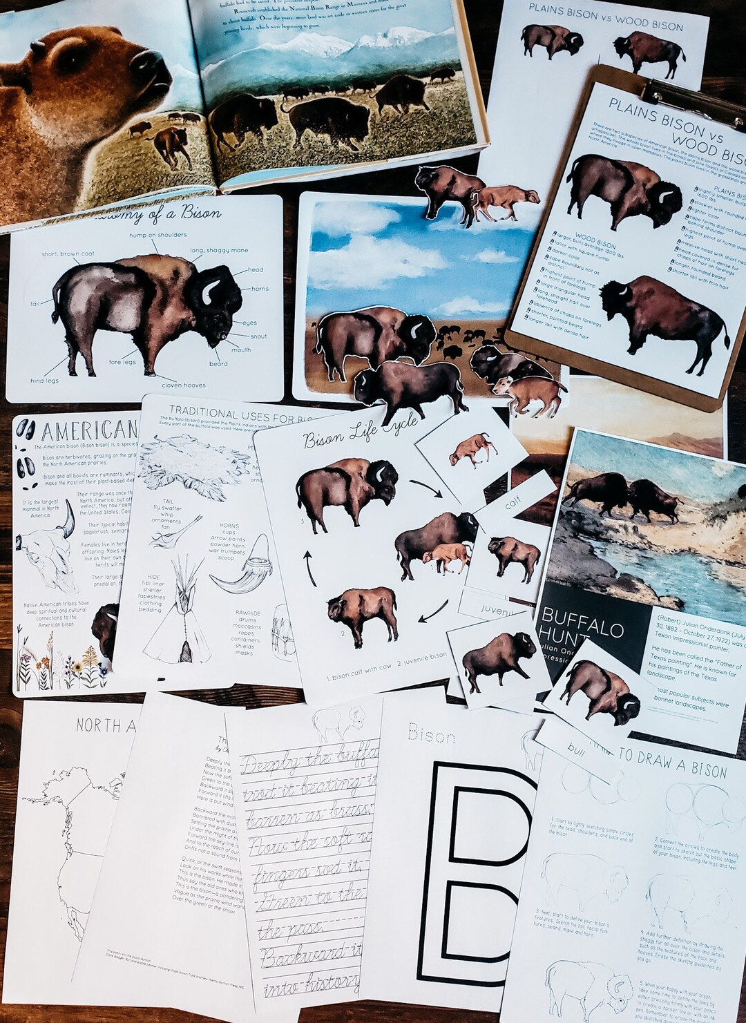 Bison Unit Study - Etsy