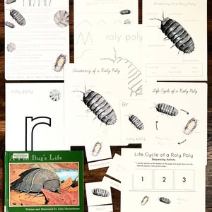 Roly Poly Mini Nature Study - Etsy