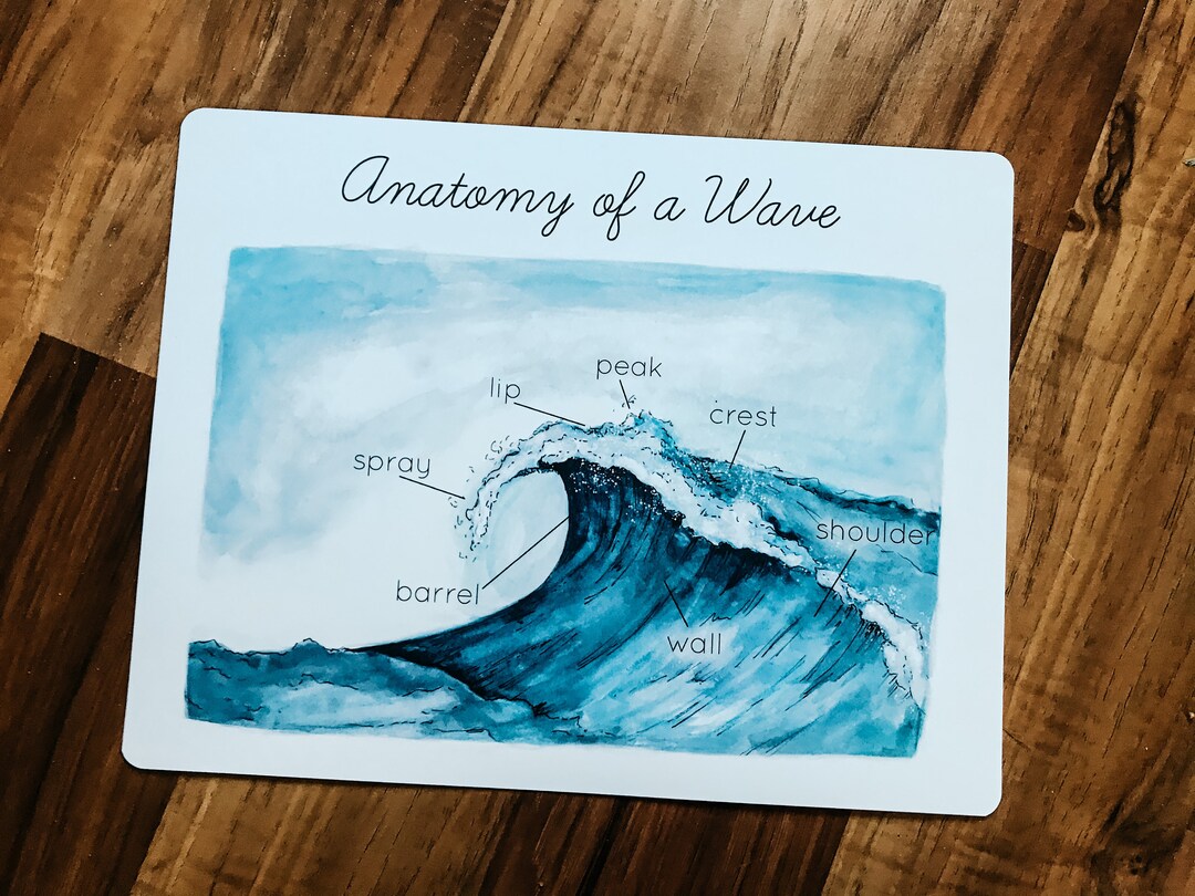Anatomy of a Wave - Etsy