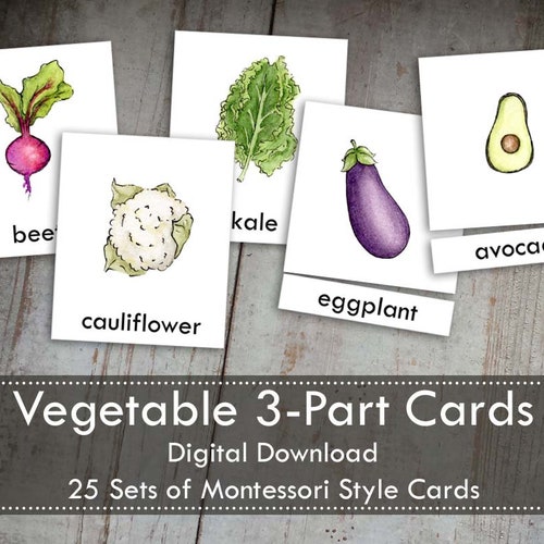Kitchen Herbs Montessori 3-part Cards - Etsy