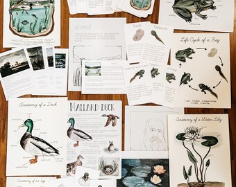 MINI Pond Unit Study Physical Bundle - Etsy