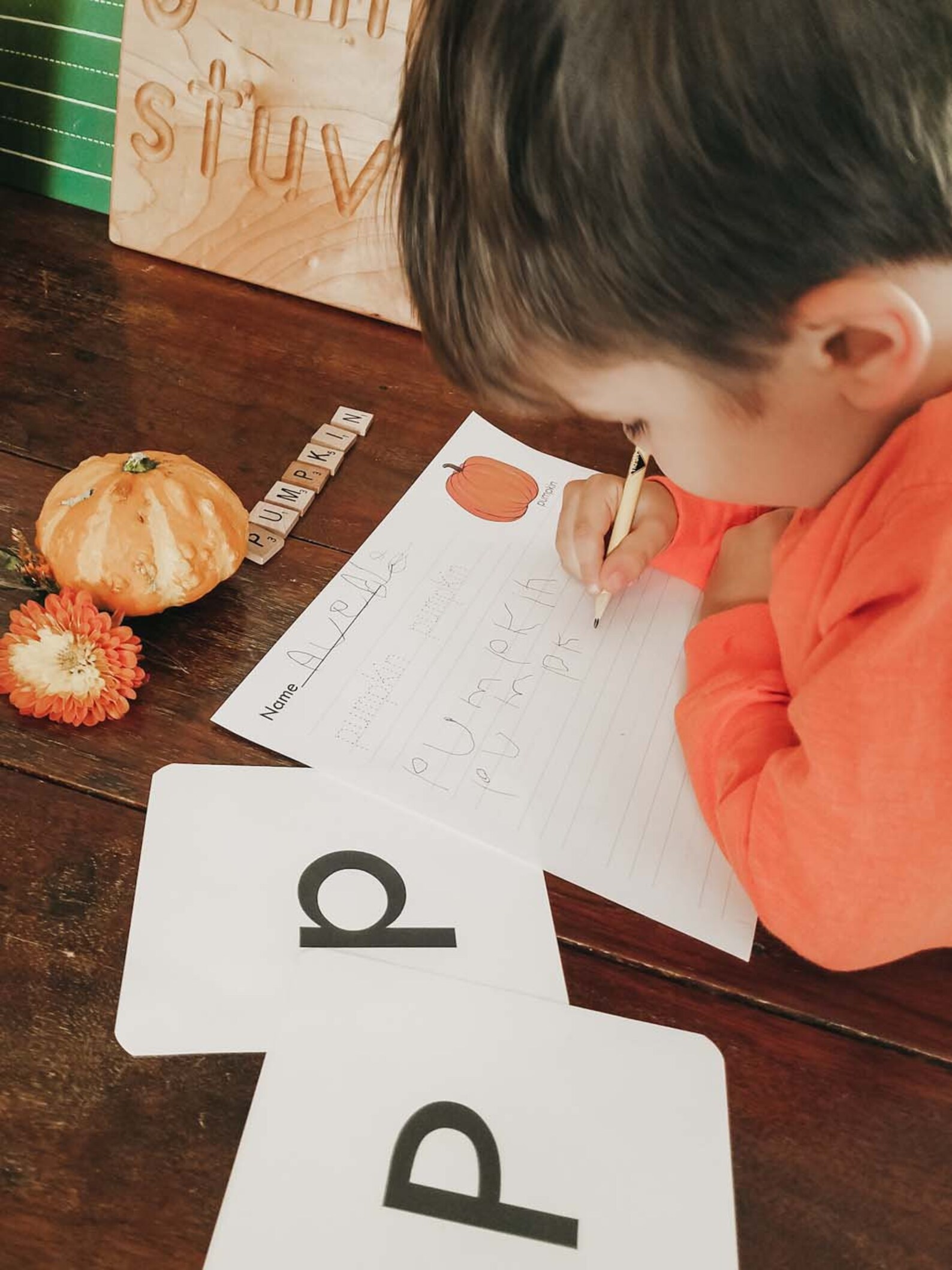 Pumpkin Mini Unit Study - Etsy