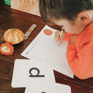 Pumpkin Mini Unit Study - Etsy