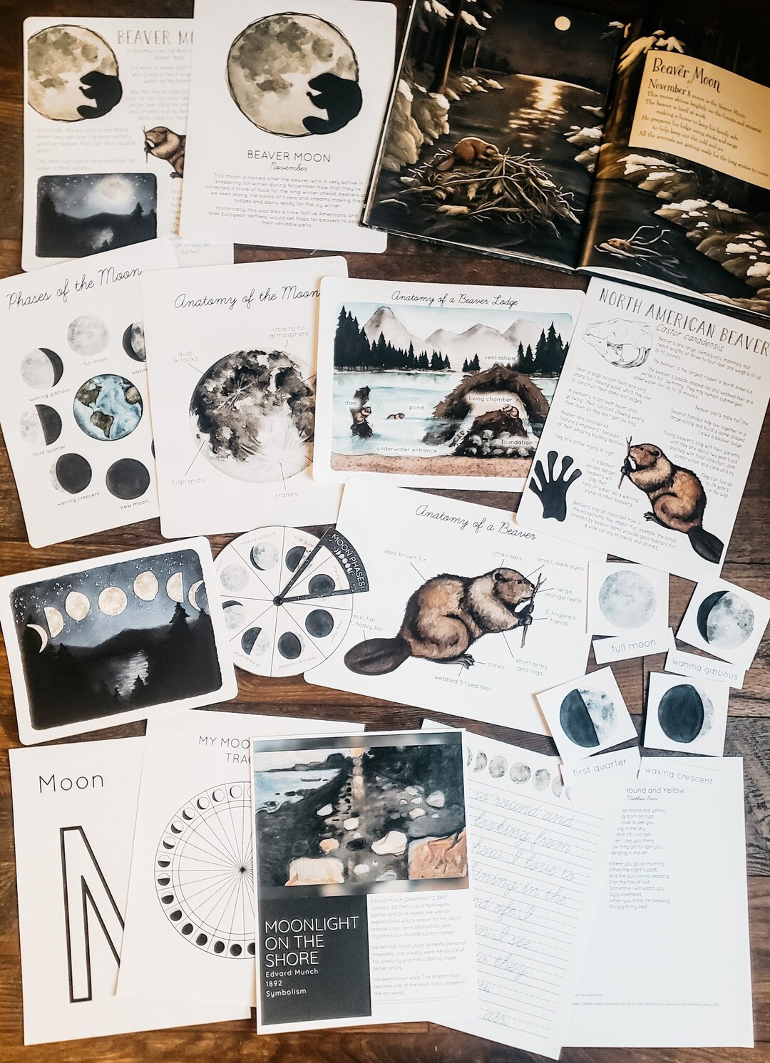 Beaver Full Moon Mini Nature Study - Etsy
