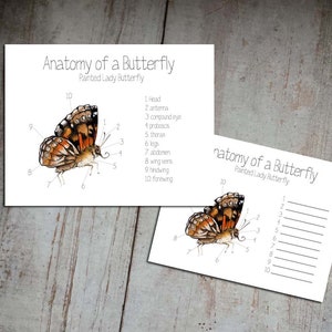 Painted Lady Butterfly Unit Study Bundle - Etsy