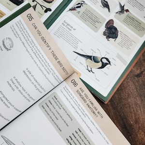Nature School & Workbook Bundle - Etsy