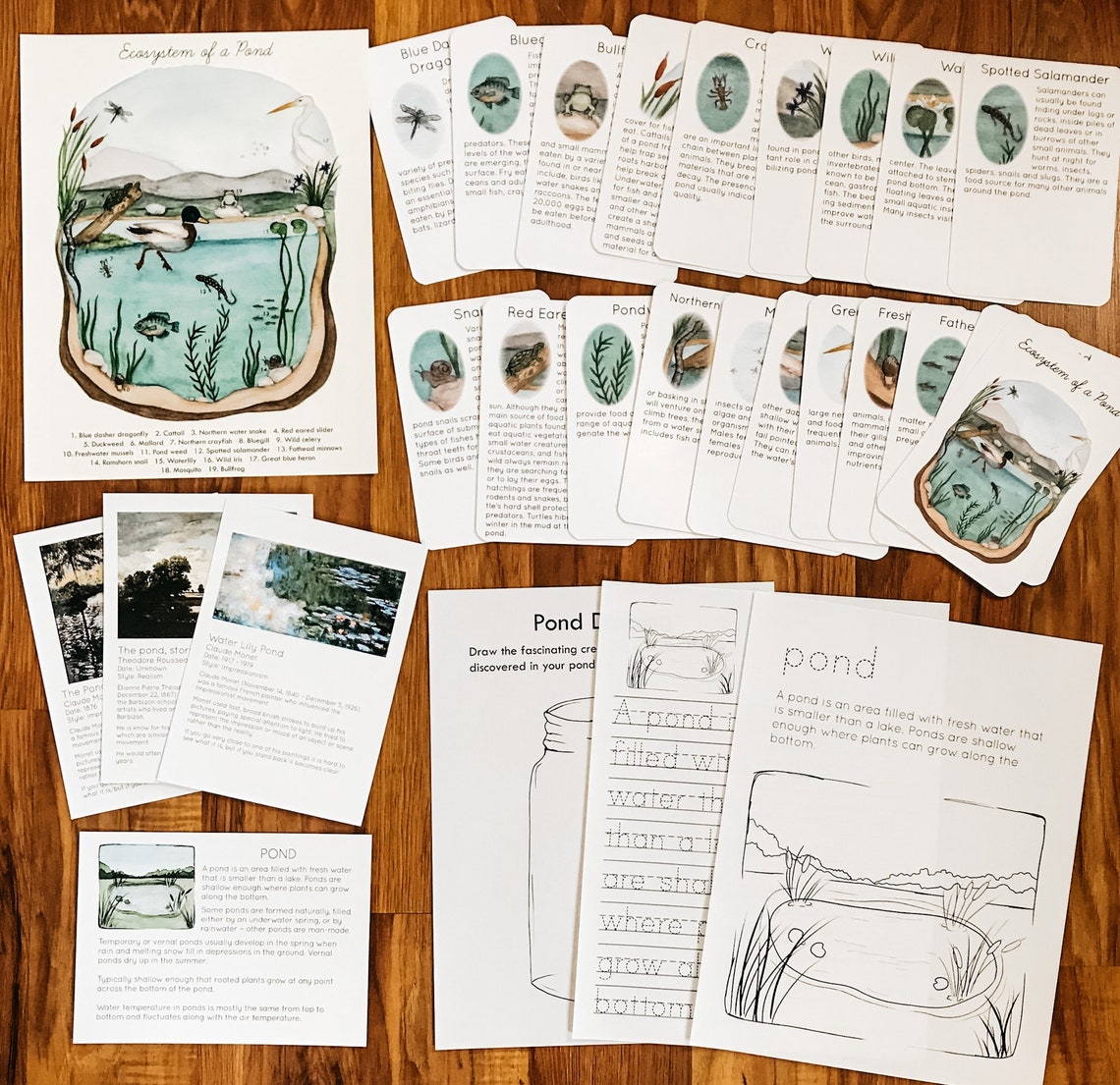 MINI Pond Unit Study Physical Bundle - Etsy