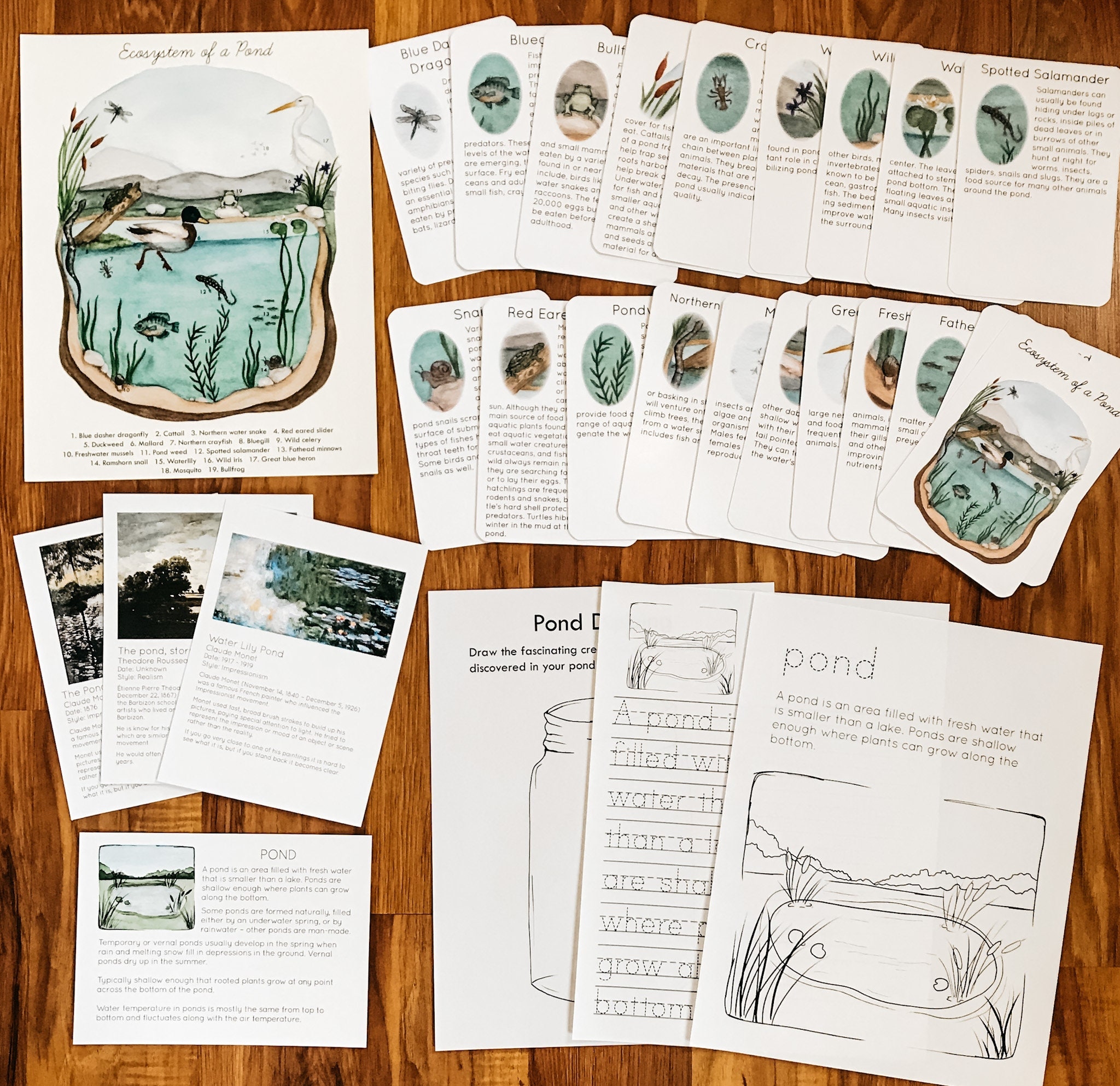 MINI Pond Unit Study Physical Bundle - Etsy