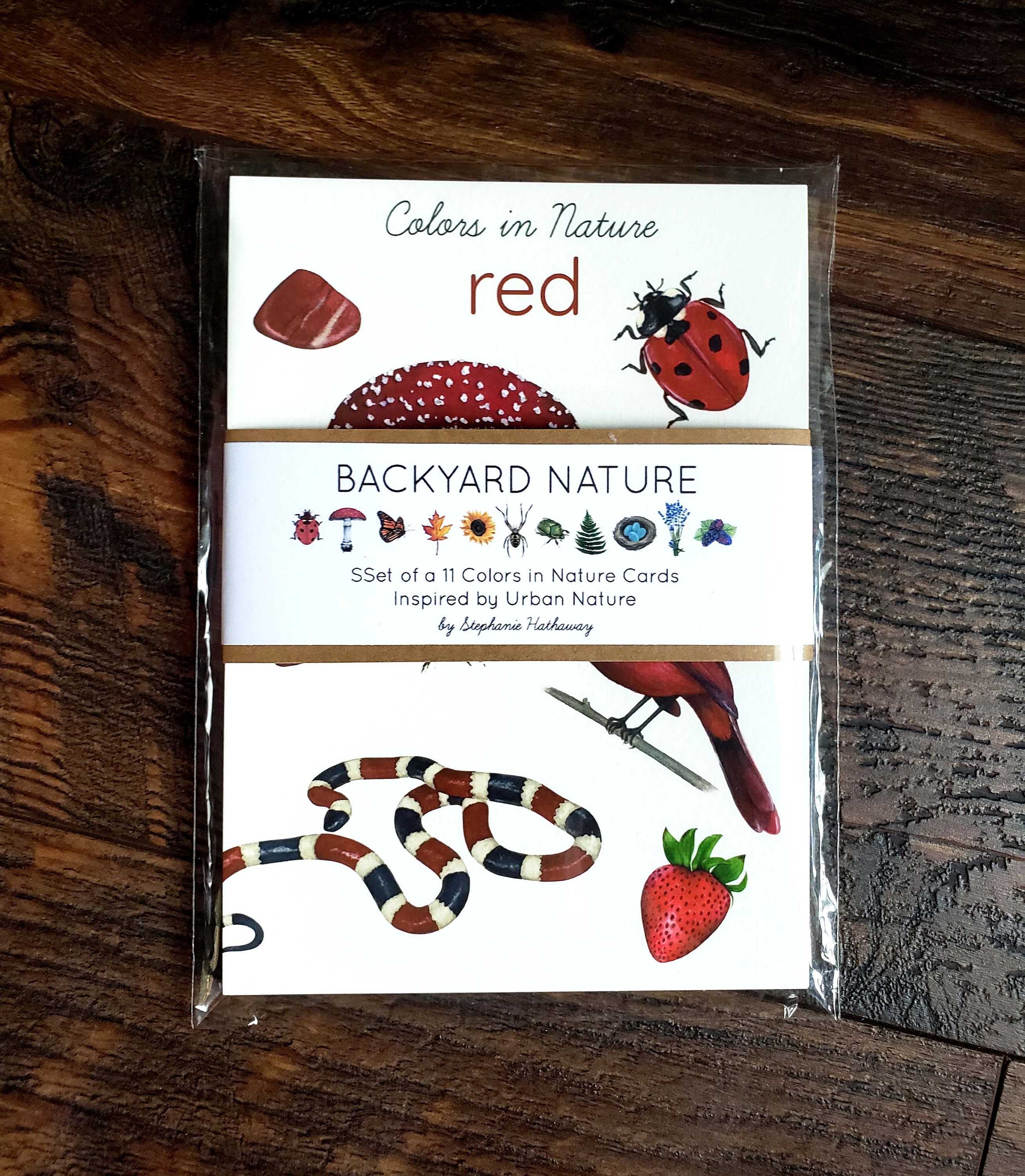 Colors in Nature Set of 11 Cards - Etsy