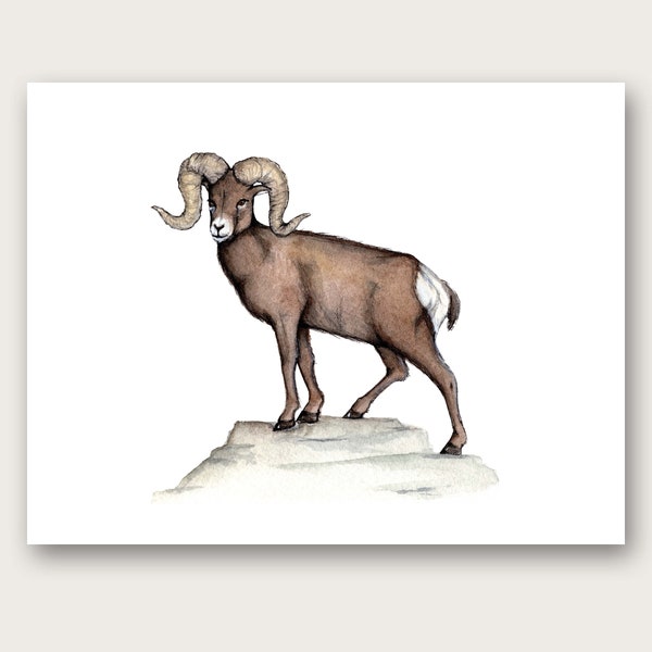 Bighorn Sheep - Etsy