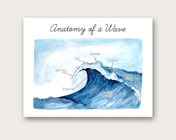 Anatomy of a Wave Poster/art Print | Etsy