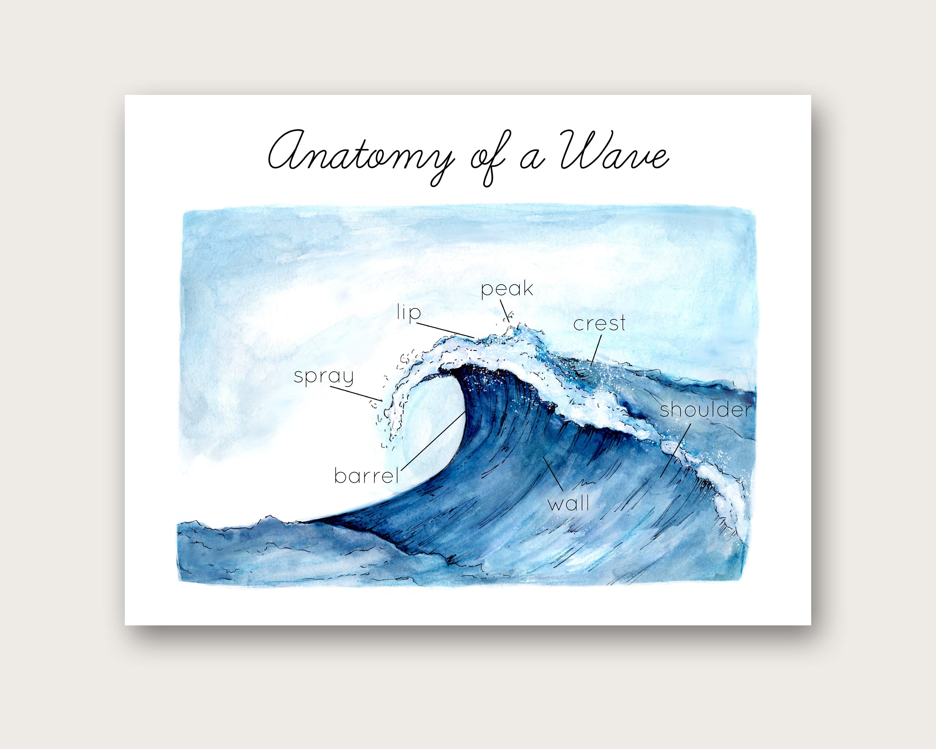 Anatomy Of A Wave Poster Art Print Etsy anatomy-of-a-wave-poster-art-print-etsy