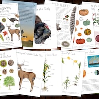 Charlotte Mason Nature Study, Nature Journal for Kids, Charlotte Mason ...