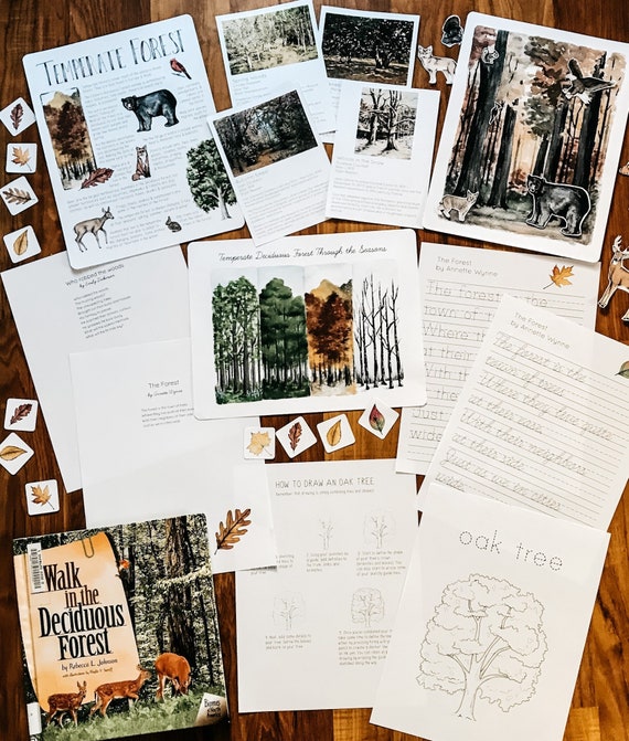 Temperate Forest Unit Study - Etsy