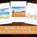 Biome Bundle - Etsy
