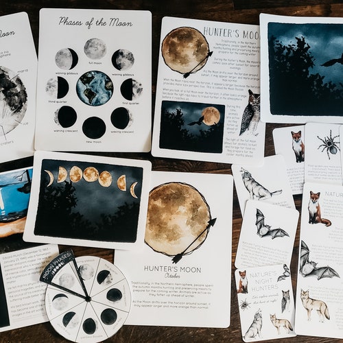 Beaver Full Moon Mini Nature Study - Etsy