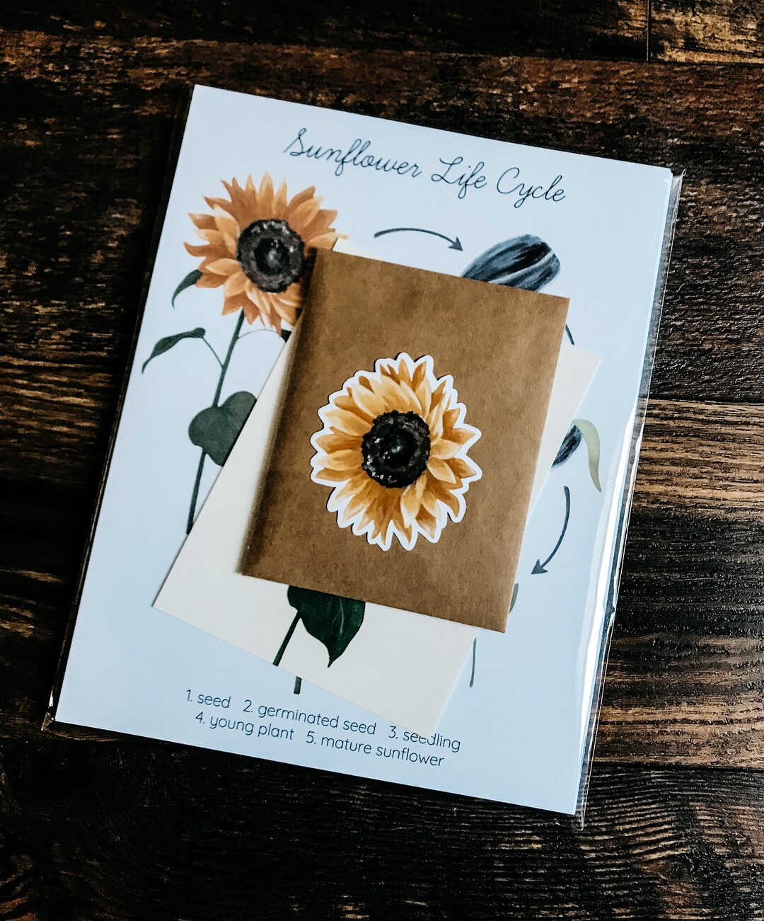 Sunflower Mini Physical Bundle - Etsy
