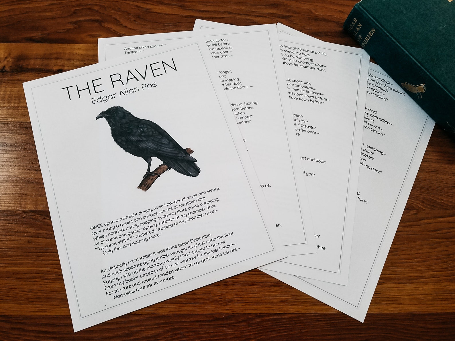 Raven Mini Unit Study | Etsy