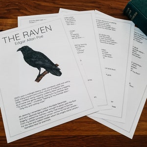 Raven Mini Unit Study - Etsy
