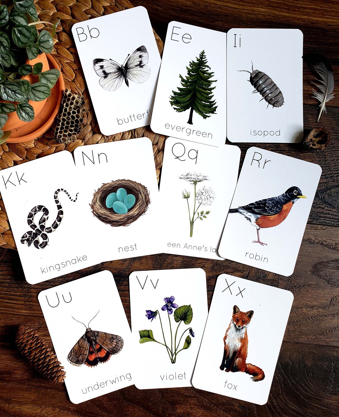 Backyard Nature Alphabet Flashcards - Etsy