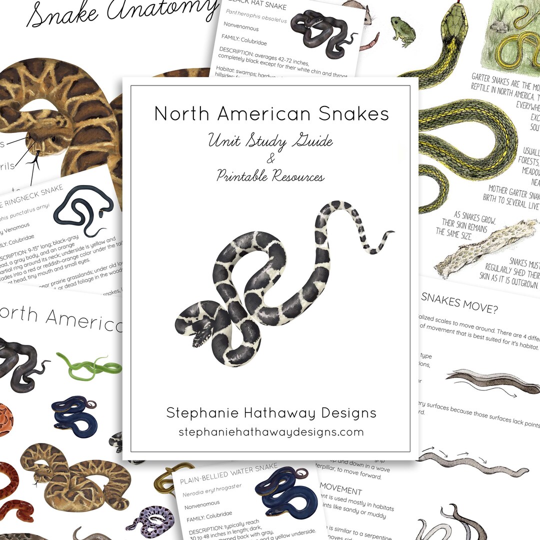 North American Snake Unit Study - Etsy